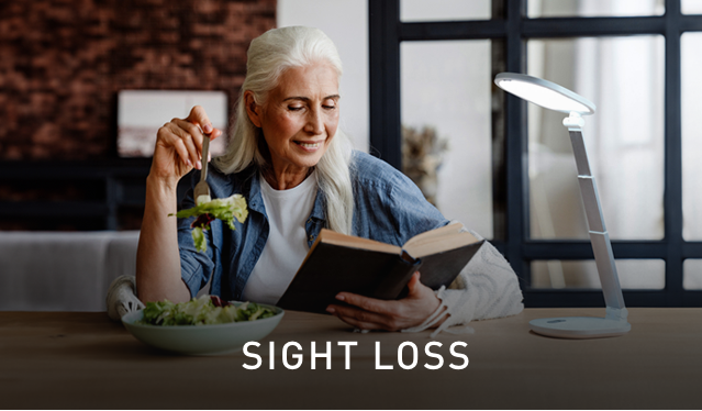 Find the perfect light for your vision – The Daylight Company